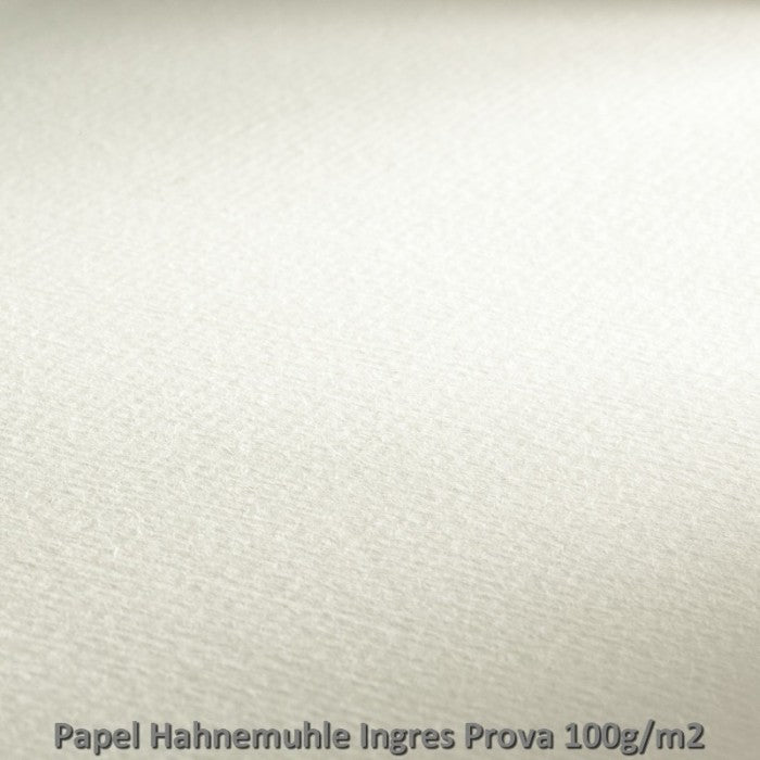 PAPEL HAHNEMUHLE INGRES 100G/M2 62,5X48 PROVA – Companhia do Papel